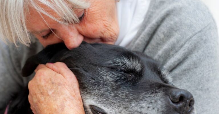 What Faith Teaches About Mourning Your Dog - MelodyRepeat