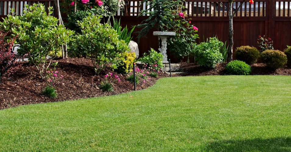 How to Keep Your Grass Healthy Through Heat and Dry Weather - MelodyRepeat
